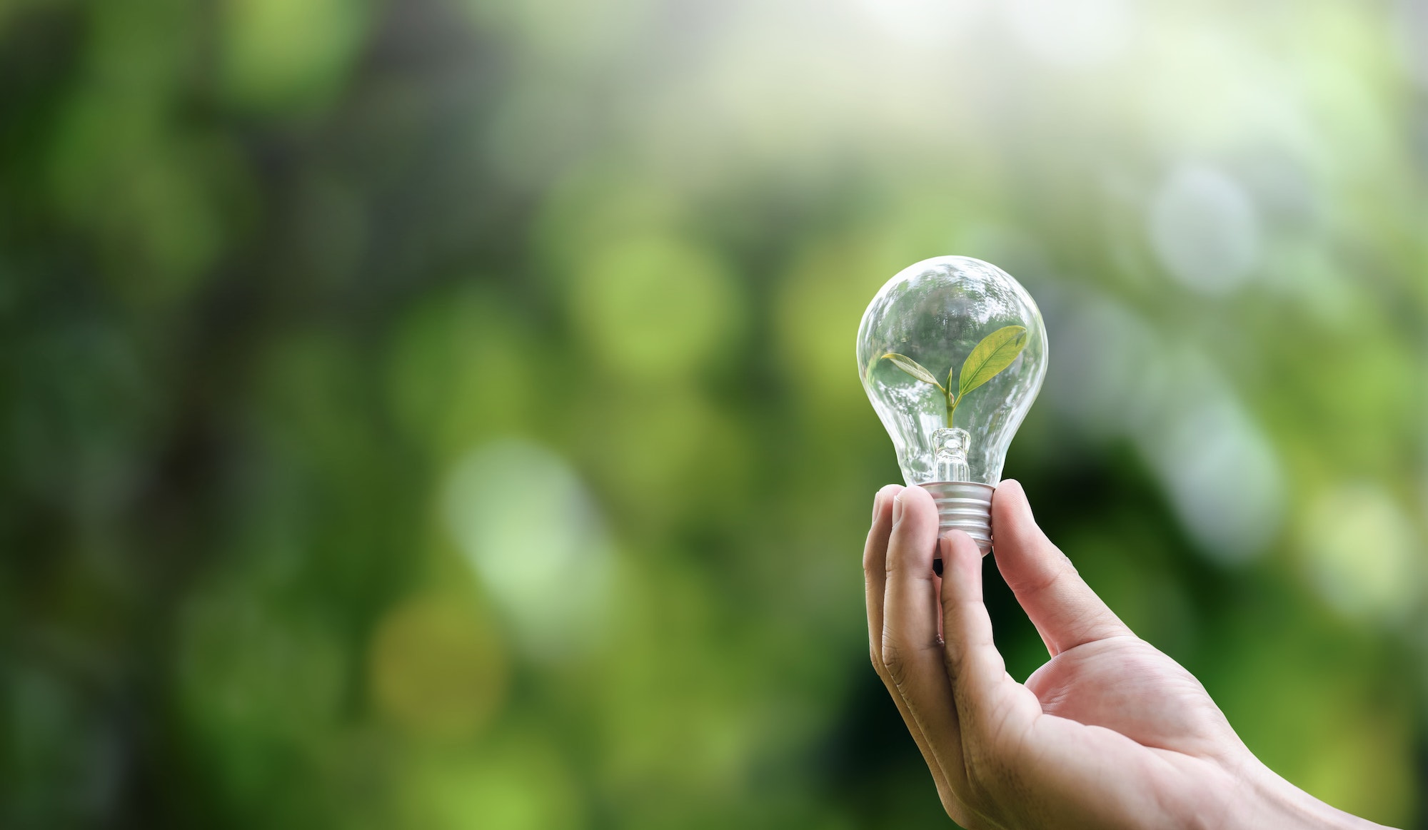 Como ler e interpretar a fatura da luz? - Fafinstala Como ler e interpretar a fatura da luz? - Fafinstala